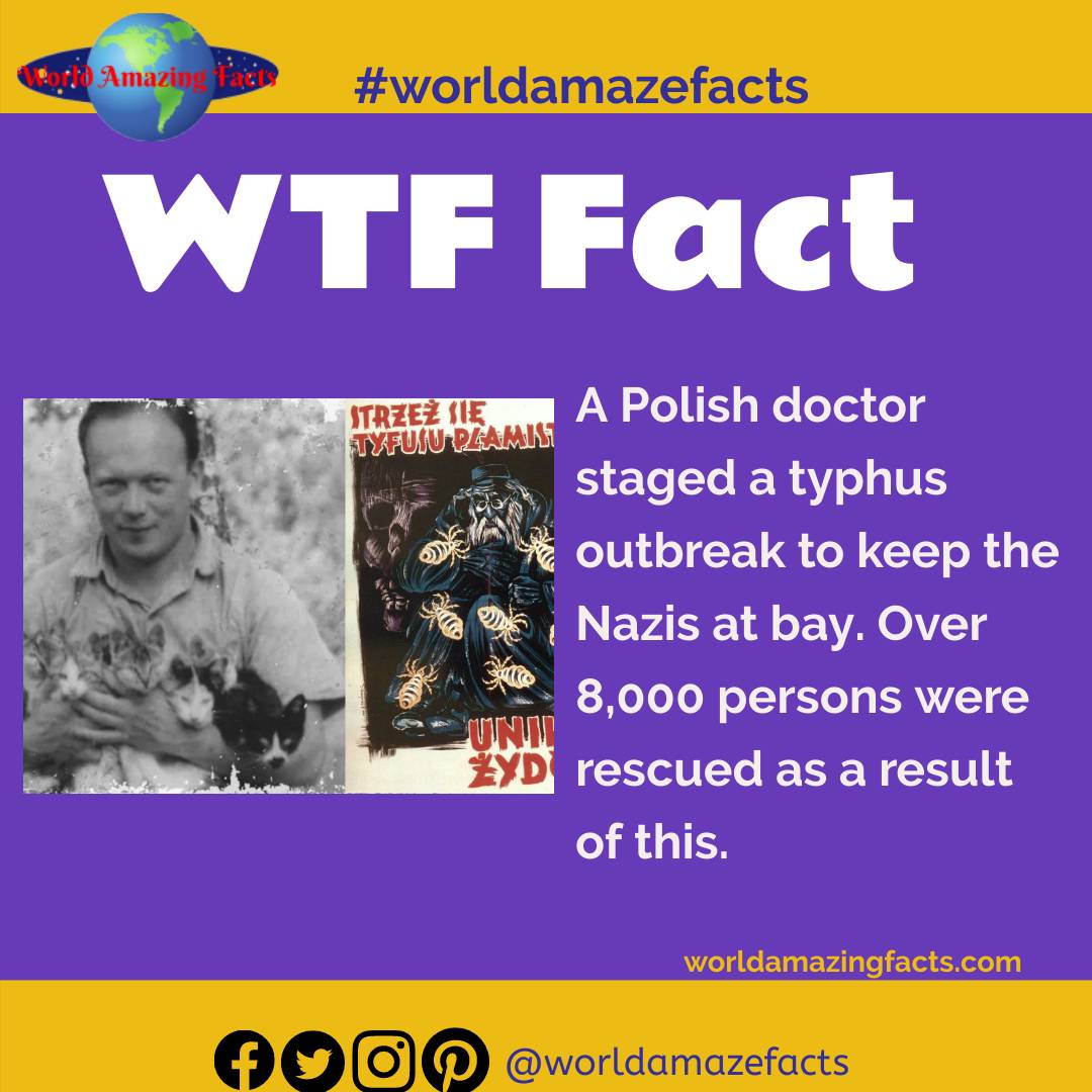 WTF Facts