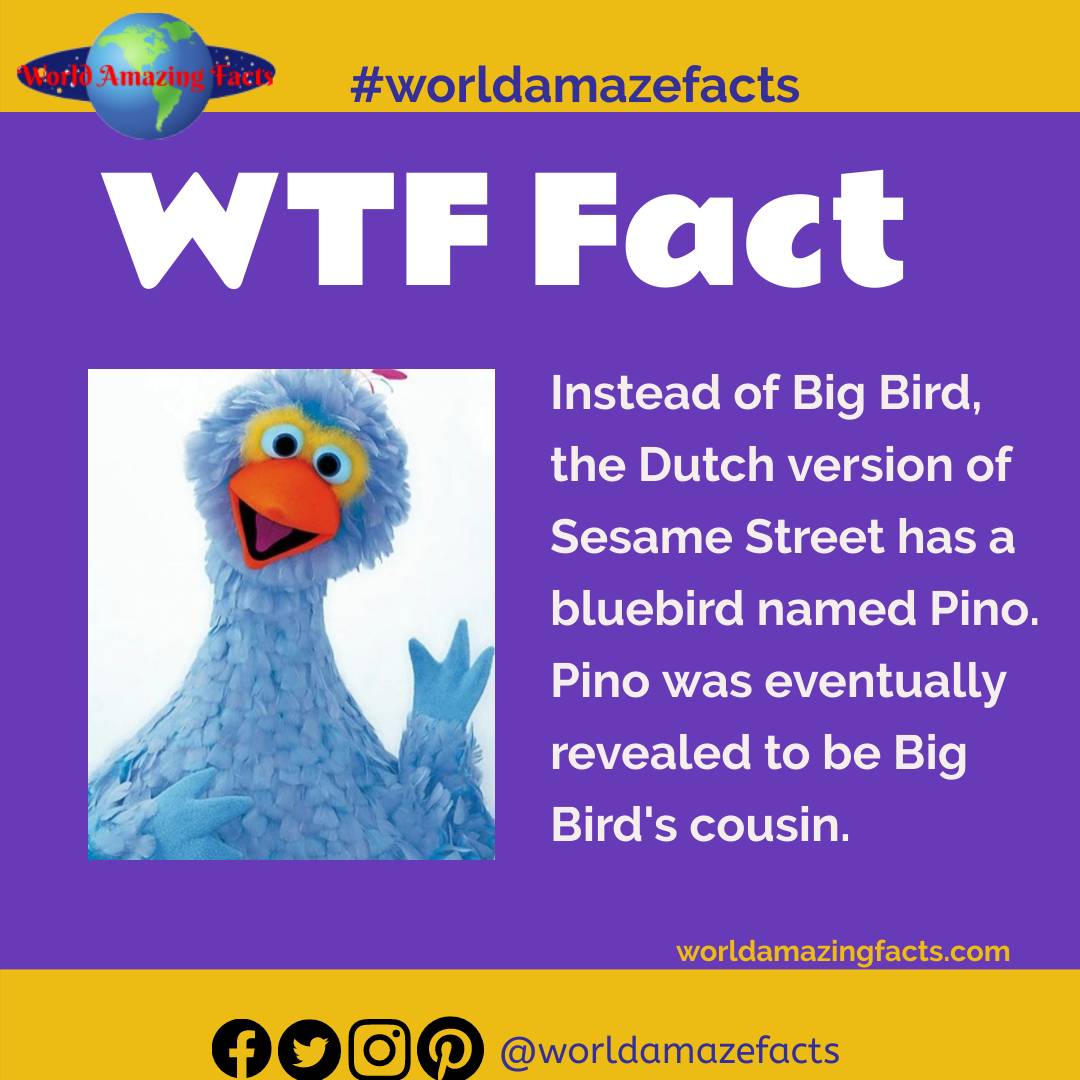 WTF Facts