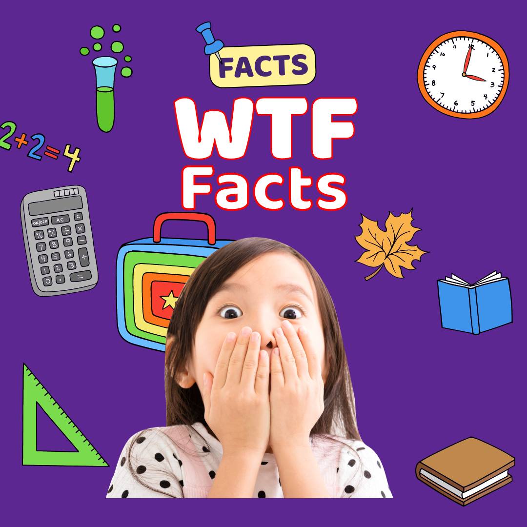 WTF Facts