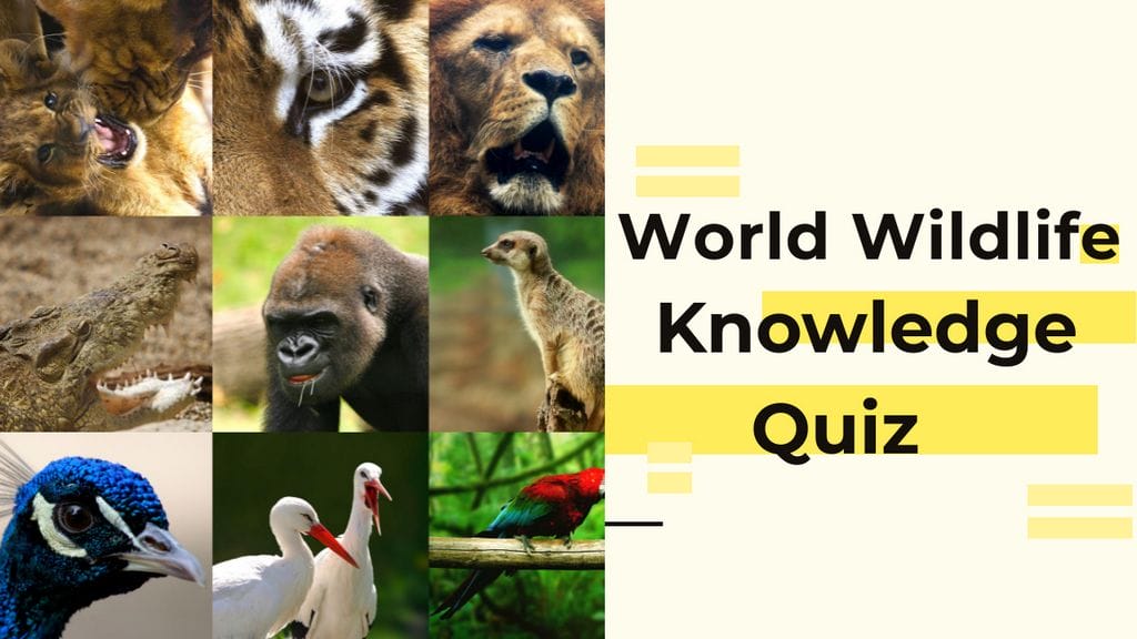 World Wildlife Trivia Quiz