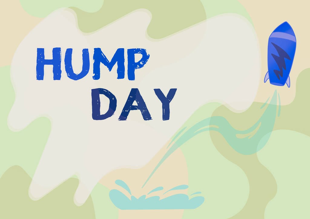 Fun Facts about Wednesday