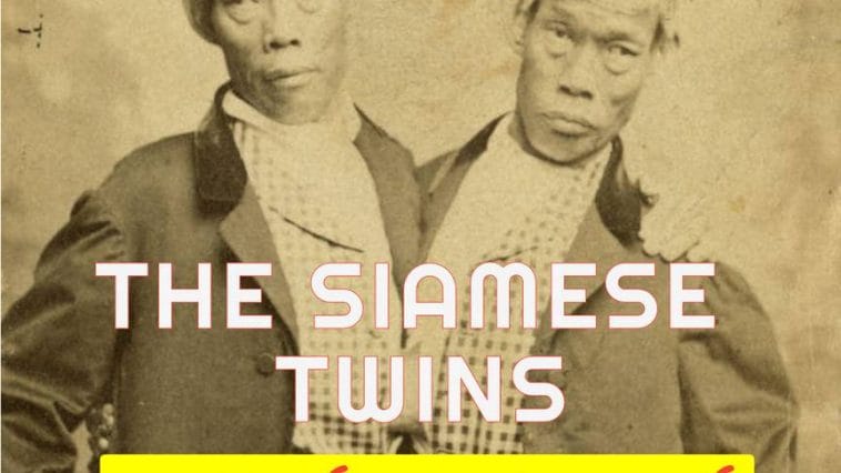 2003 History Events: What Happened in 2003