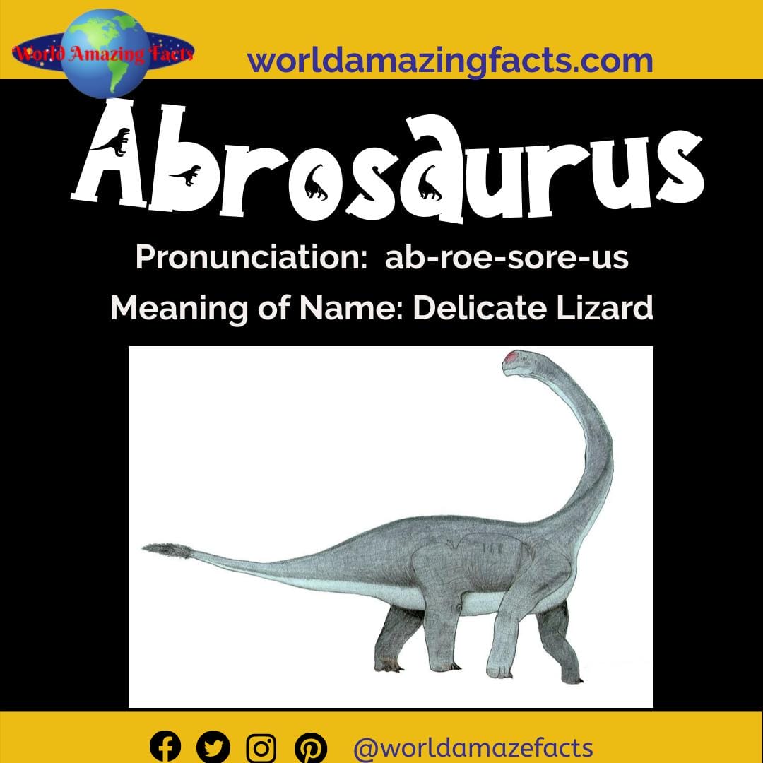 Dinosaur Names that Start with "A" - Dinosaur Pictures & Facts