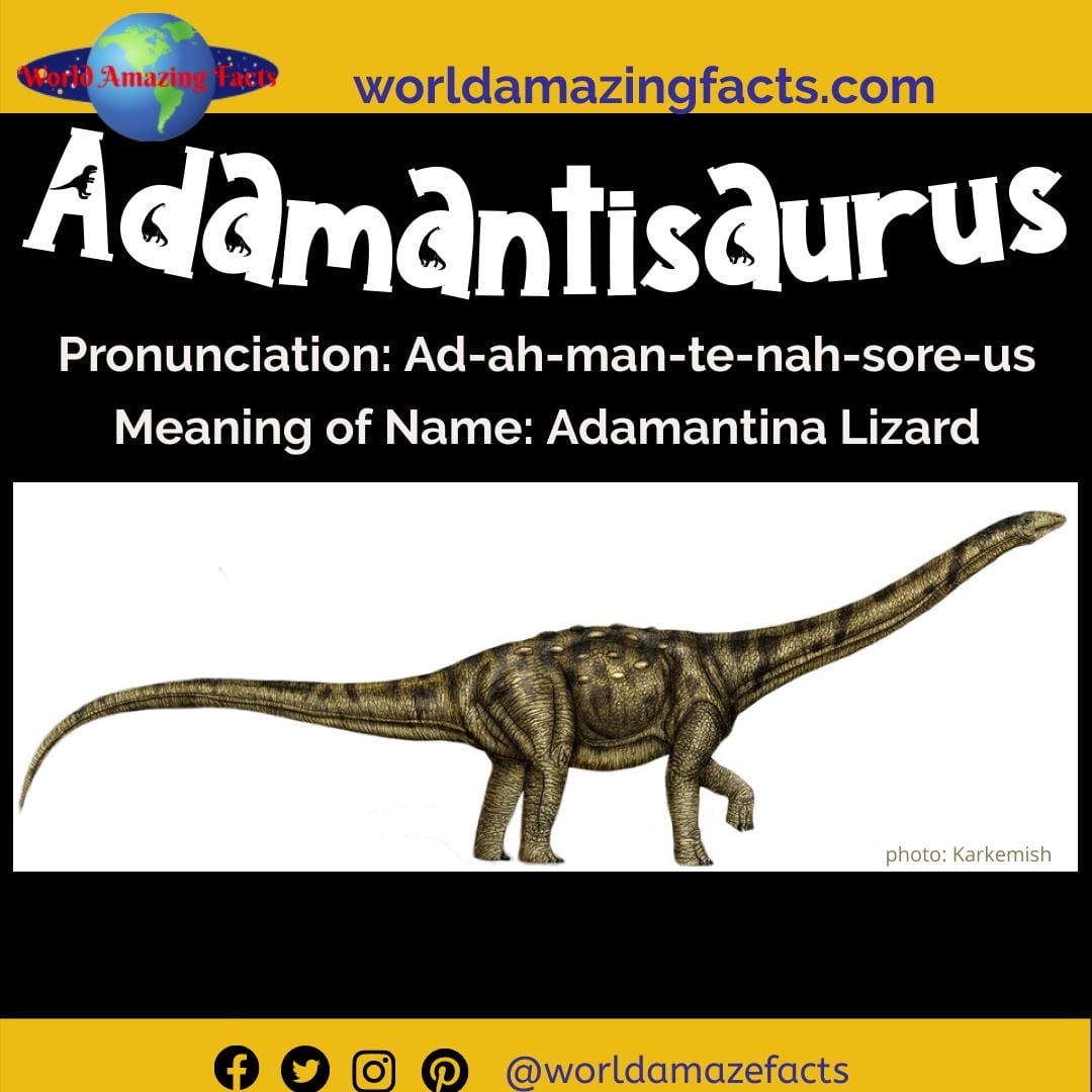 Dinosaur Names that Start with "A" - Dinosaur Pictures & Facts