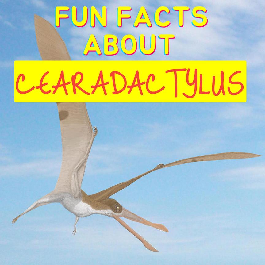 Fun Facts about Cearadactylus - Dinosaur Facts