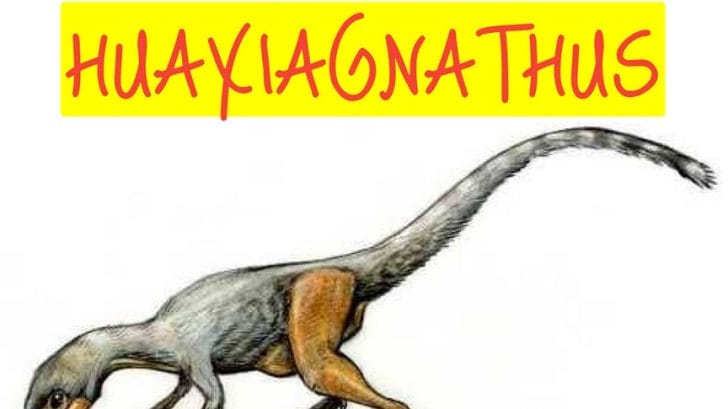 Fun Facts about Megalosaurus - Dinosaur Facts