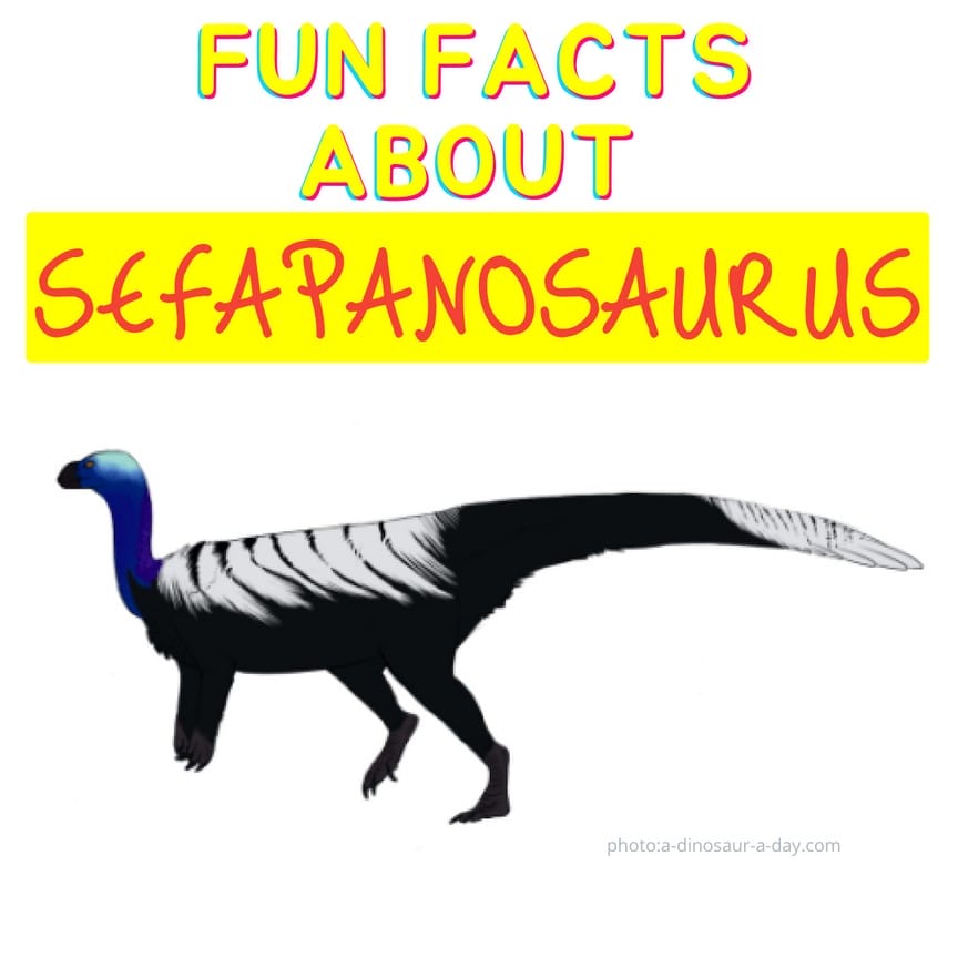 Fun Facts about Sefapanosaurus - Dinosaur Facts
