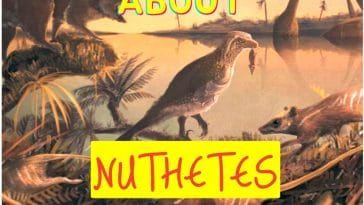 Fun Facts about Cearadactylus - Dinosaur Facts