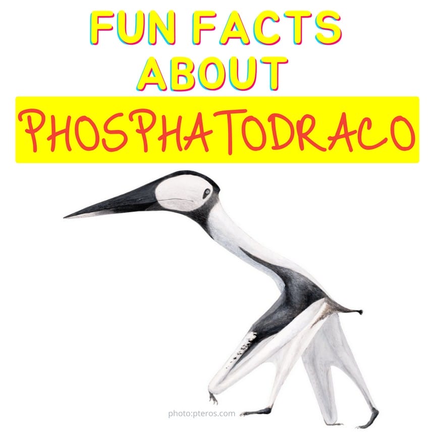 Fun Facts about Phosphatodraco - Dinosaur Facts